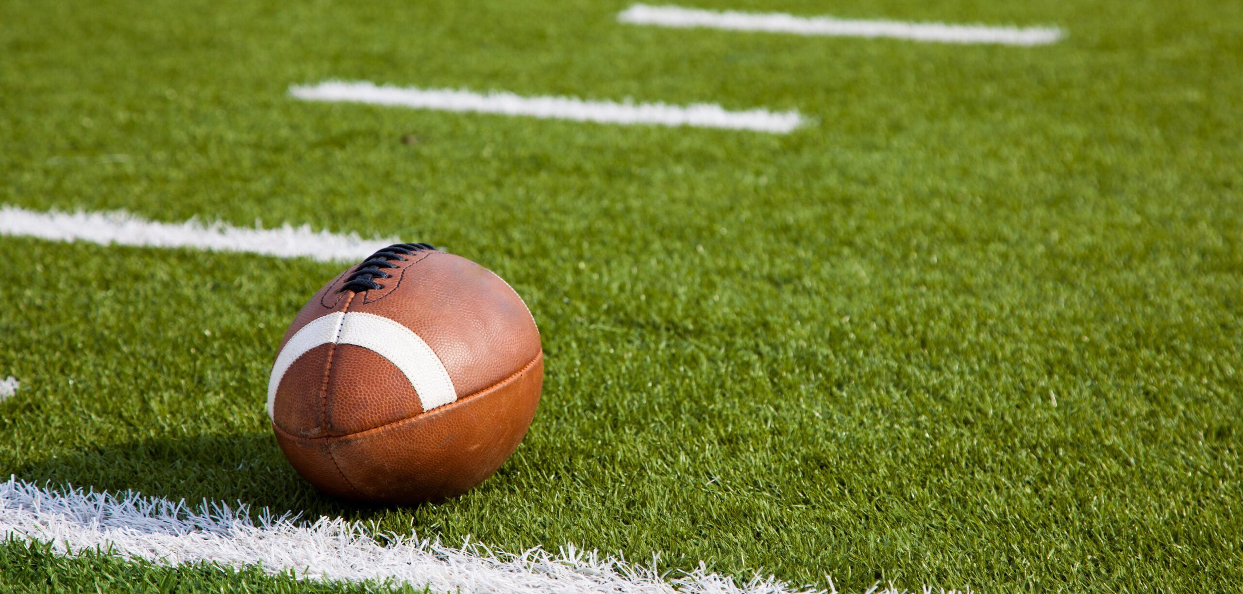 Turf or grass? Terminology cleared up by STMA | Stadia Magazine